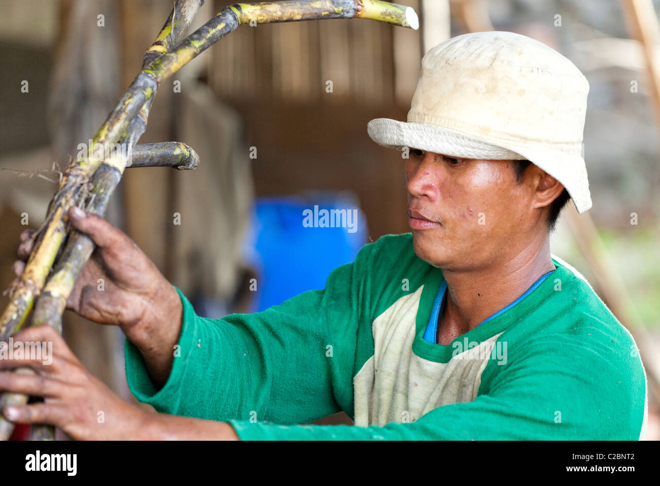 A Filipino worker processing sugarcane through a press at a sugar mill ...