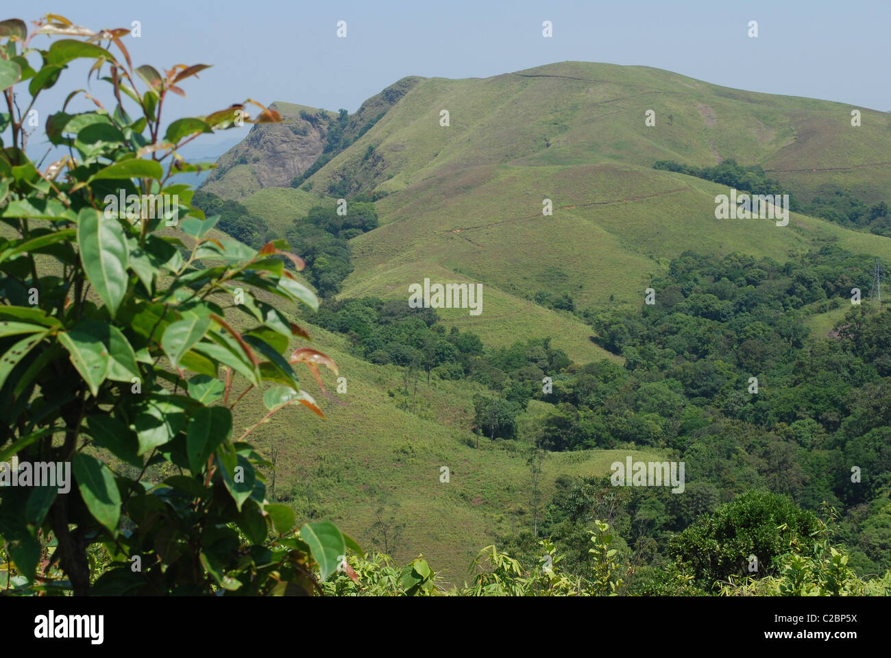 Kerala Gods Own Country Gavi