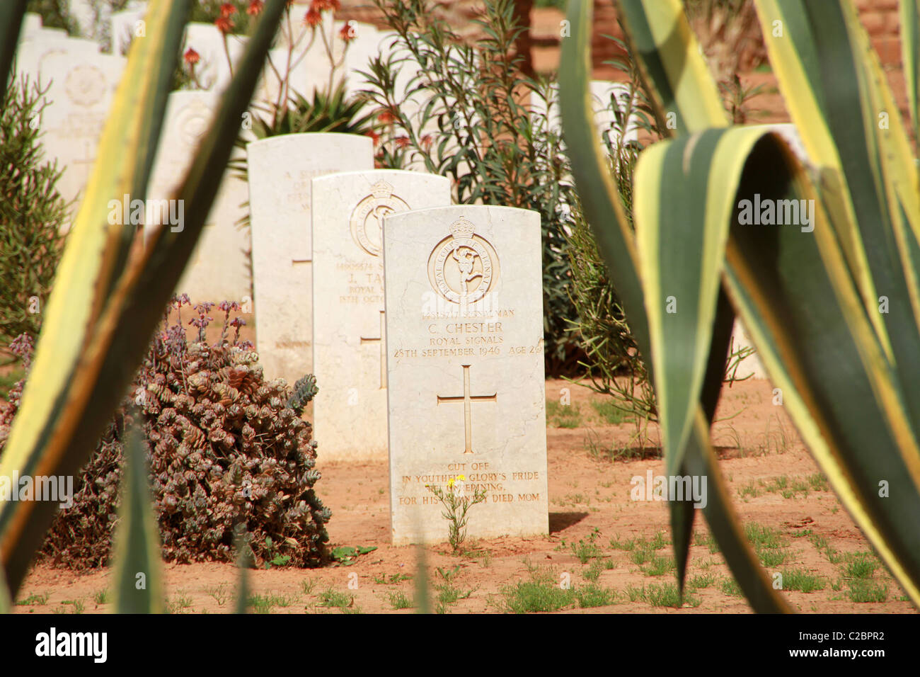 Benghazi war cemetery hi-res stock photography and images - Alamy
