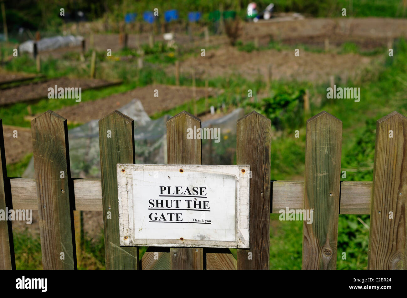 A wooden gate leading to an allotment Stock Photo - Alamy
