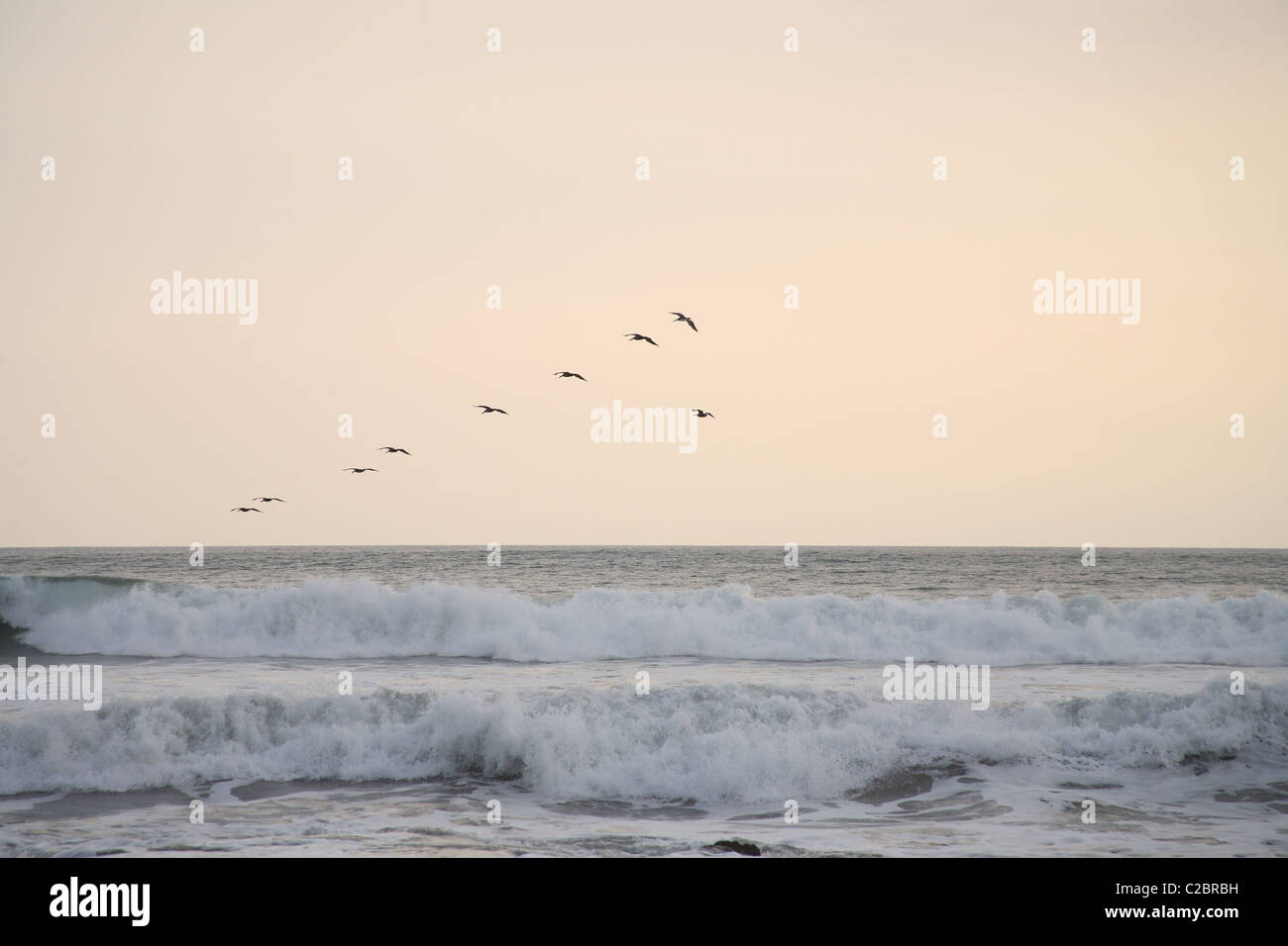 Pelicans flying v formation hi-res stock photography and images - Alamy