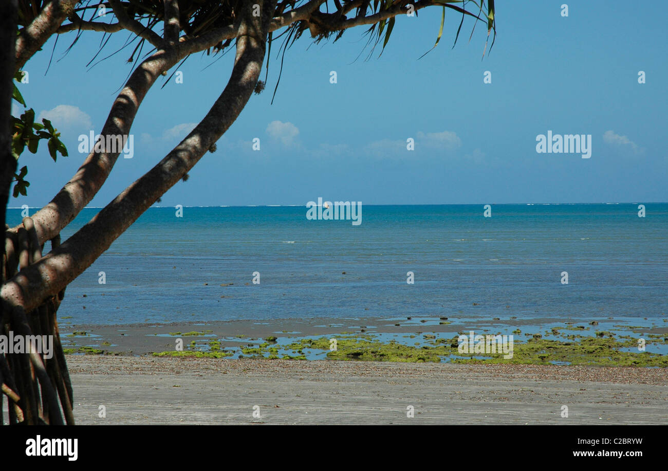 Jambiani beach. Zanzibar Island. Tanzania Stock Photo - Alamy
