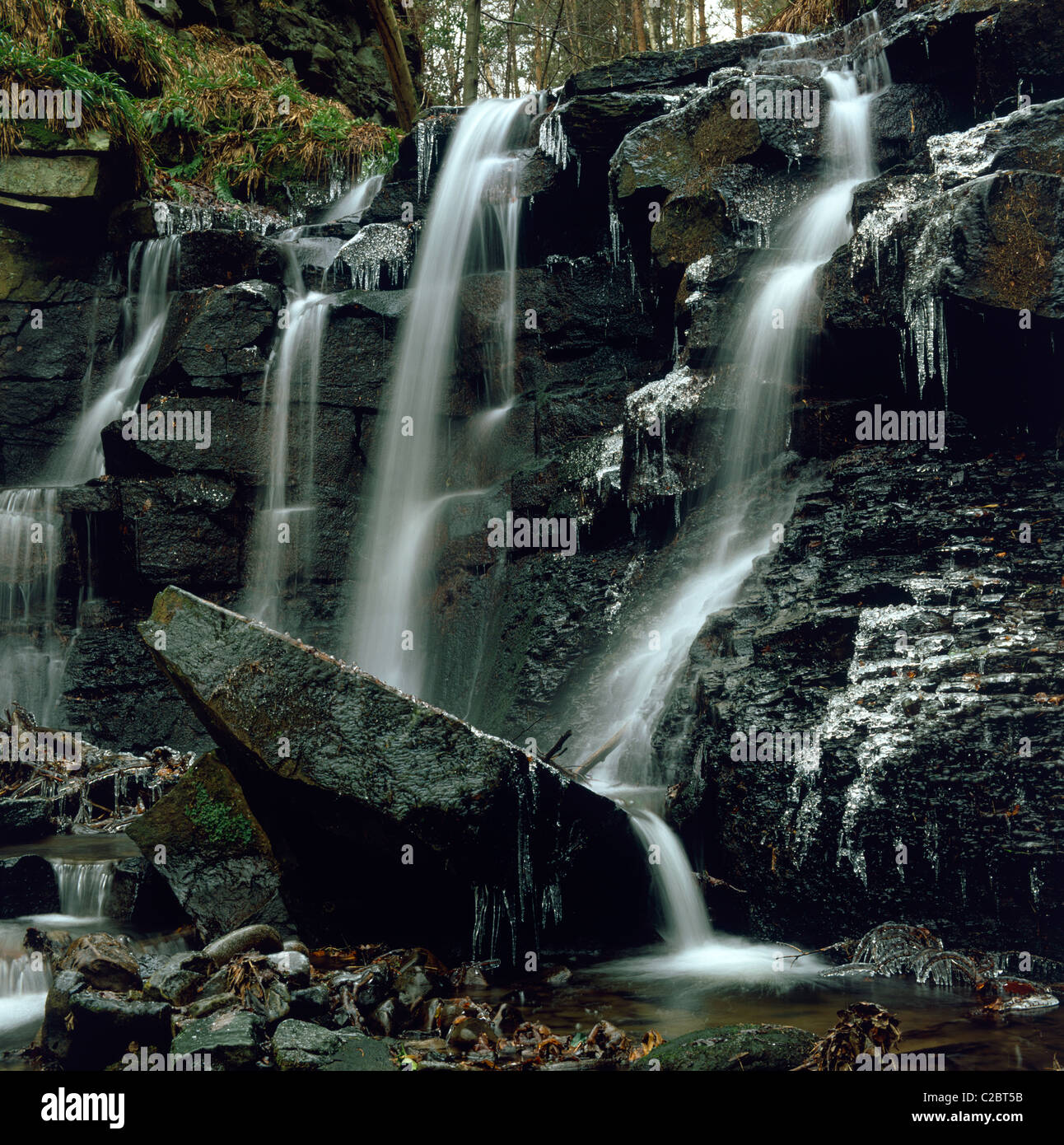 Allensford Durham England Stock Photo - Alamy