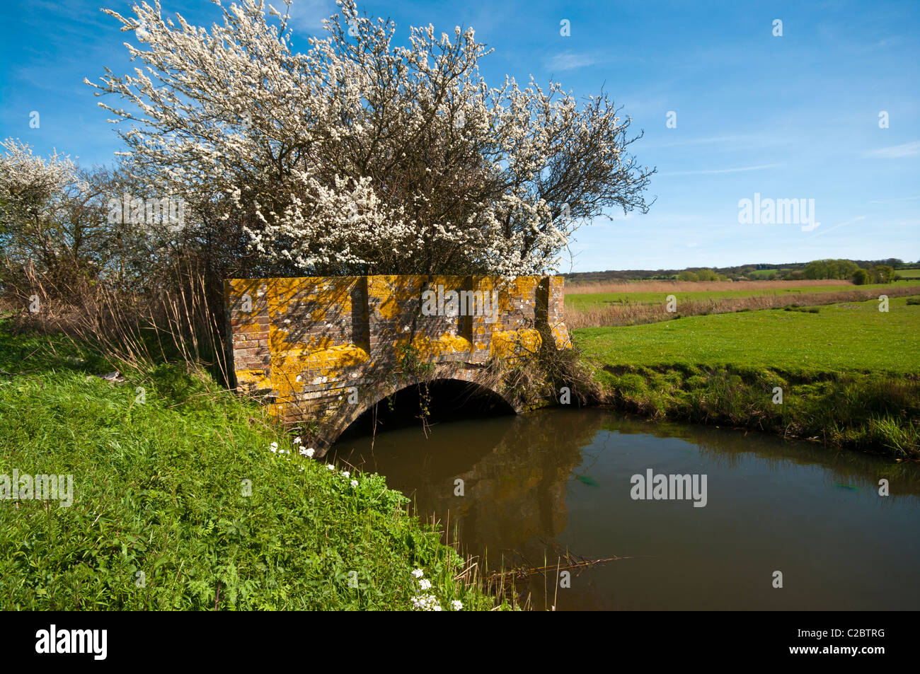 Brick Bridge Over A Stream With A Tree In Blossom South Of Tenterden ...