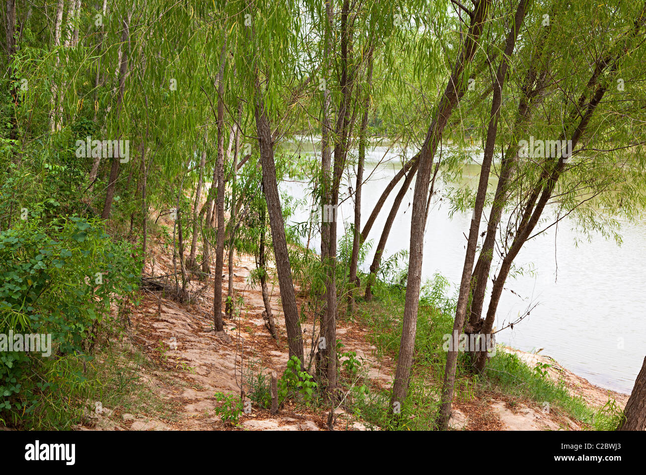 Brazos River Stephen F. Austin State Park San Felipe Texas USA Stock ...