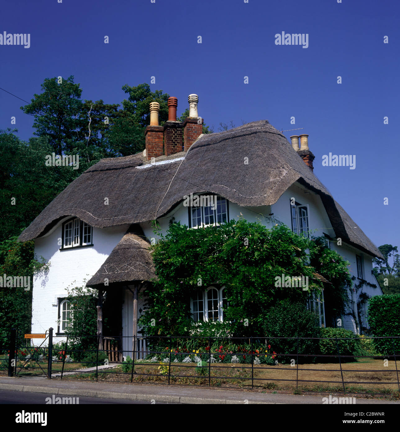 Swan green lyndhurst new forest hi-res stock photography and images - Alamy