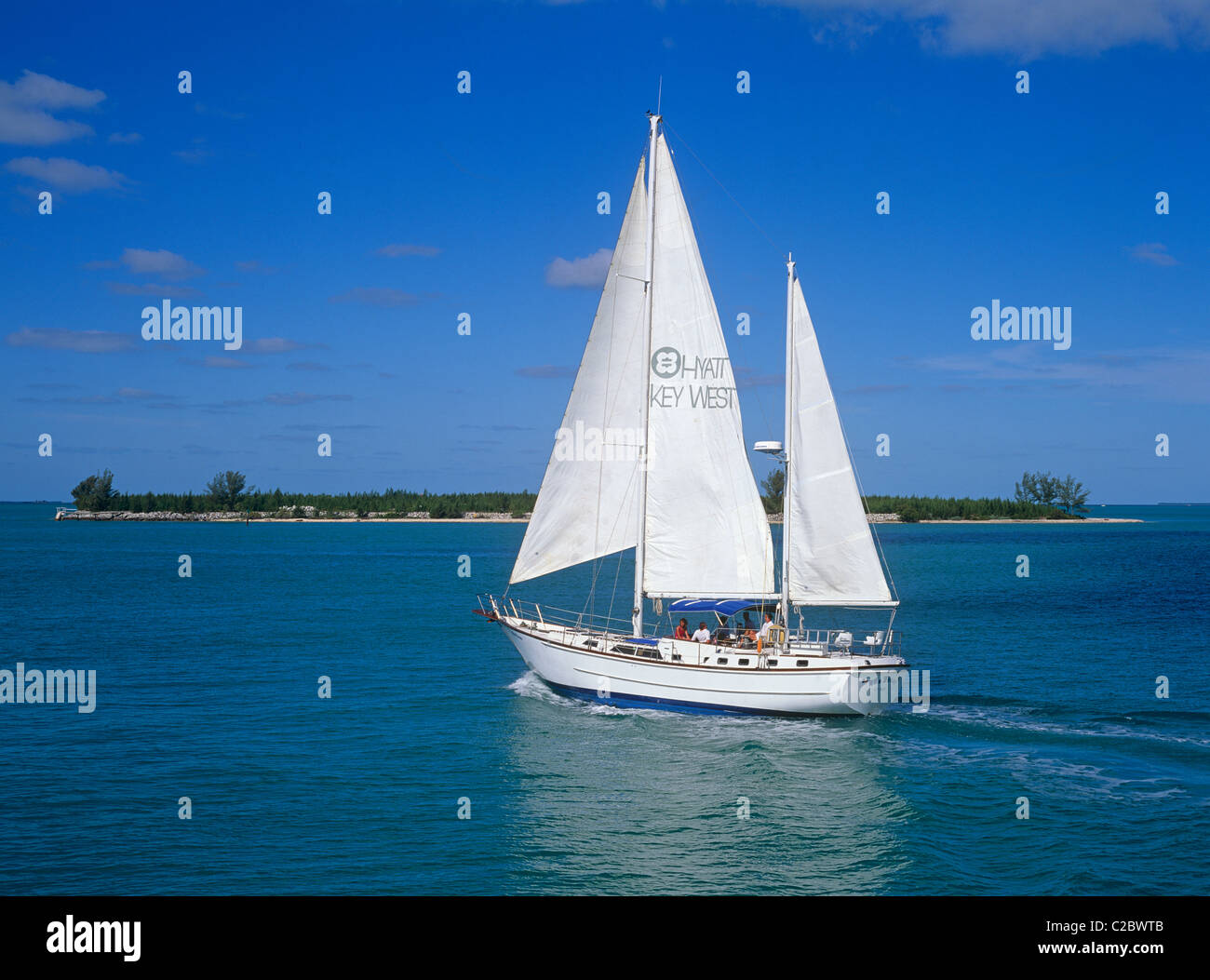 The seas off Key West and the islands of the region are popular with ...