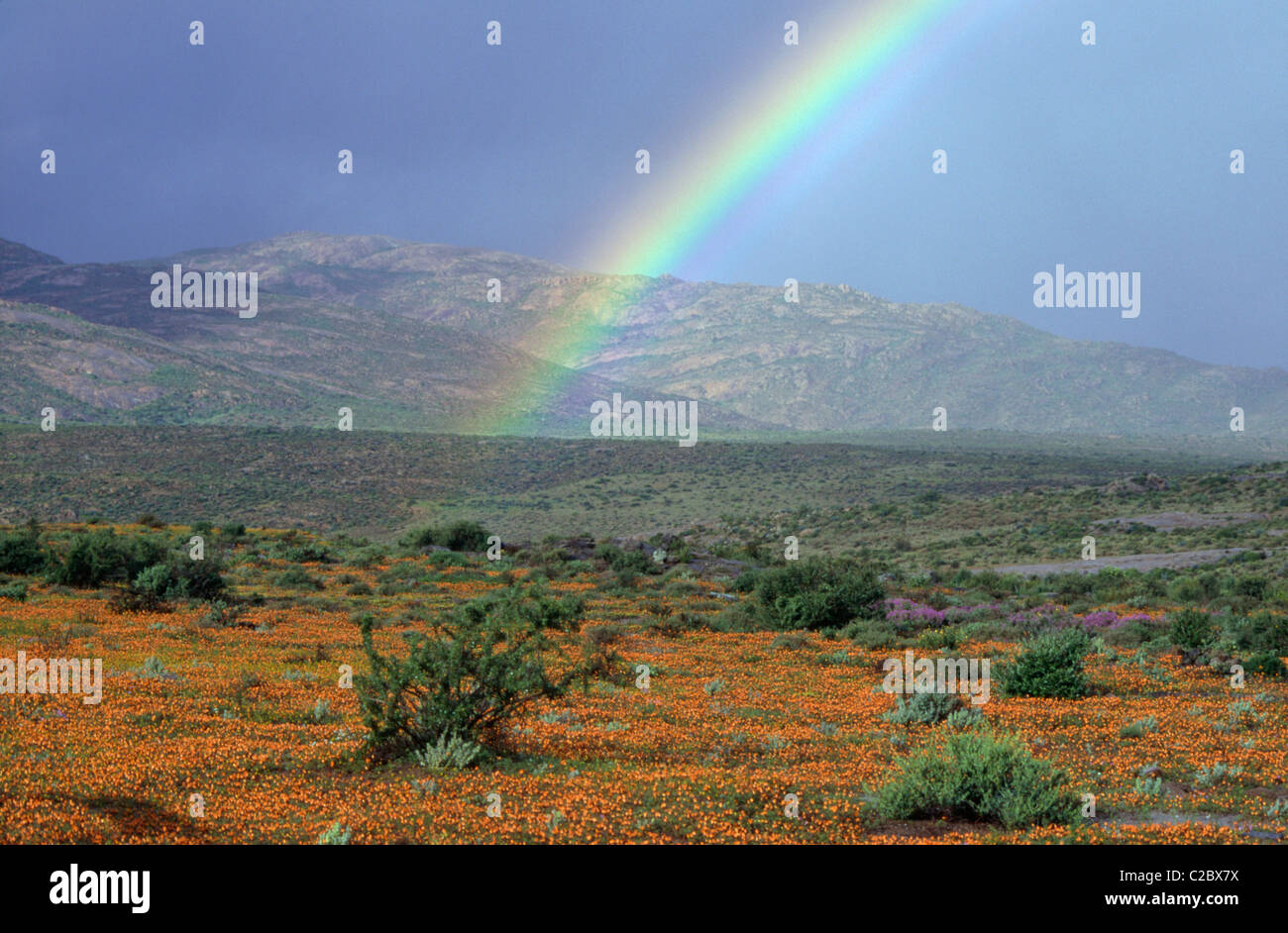 Northern Cape South Africa Stock Photo - Alamy