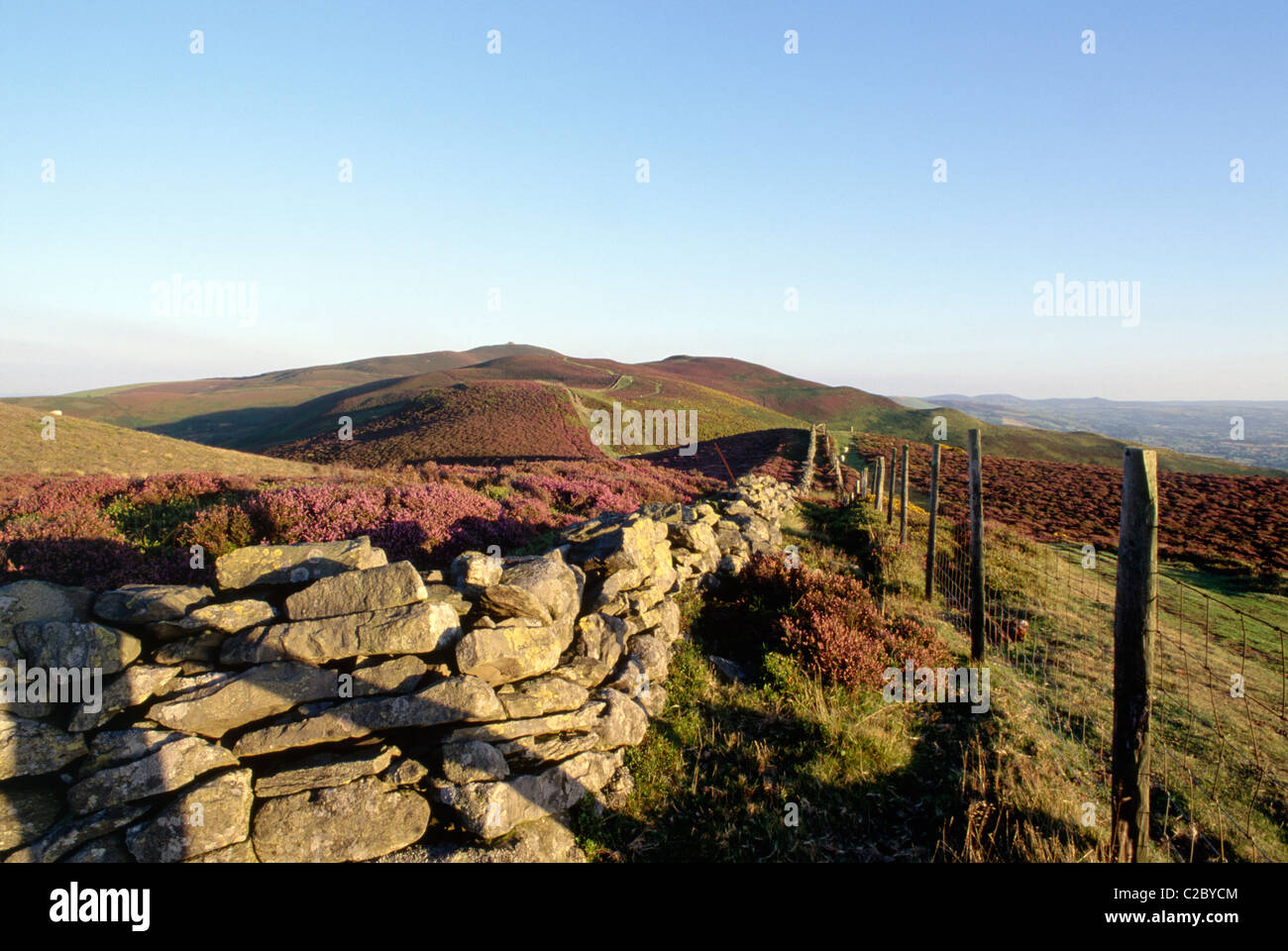 Moel famau country park hi-res stock photography and images - Alamy