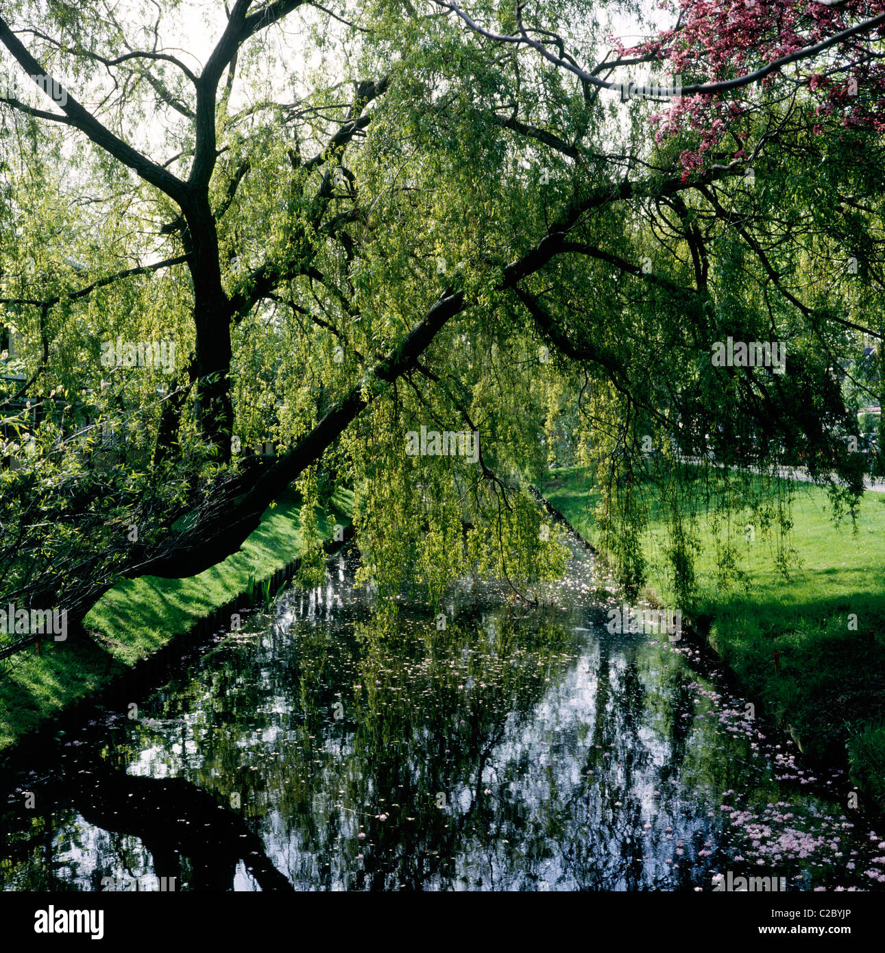 Public Park The Hague Netherlands Stock Photo - Alamy