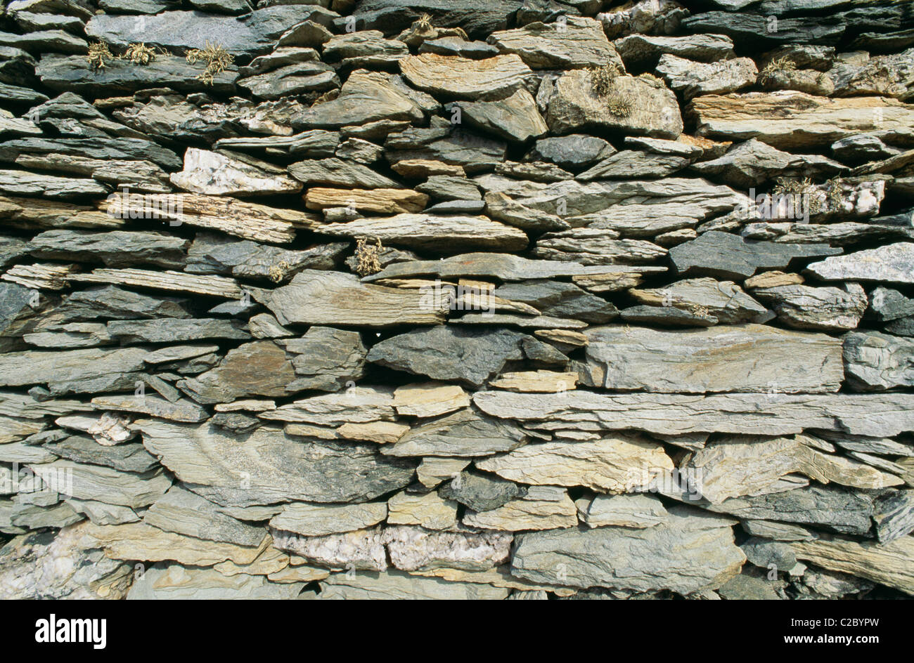 Rhoscolyn Anglesey Wales Stock Photo - Alamy