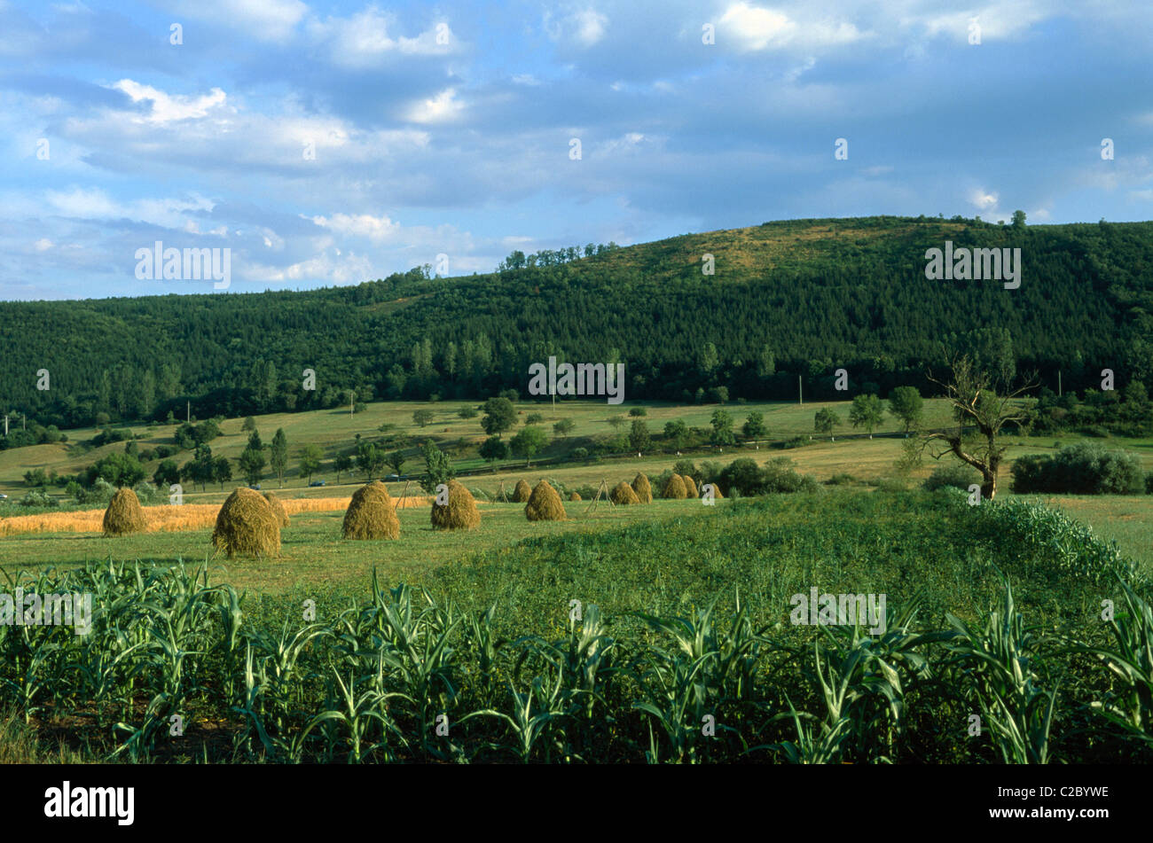 Gilau Transylvania Romania Stock Photo - Alamy