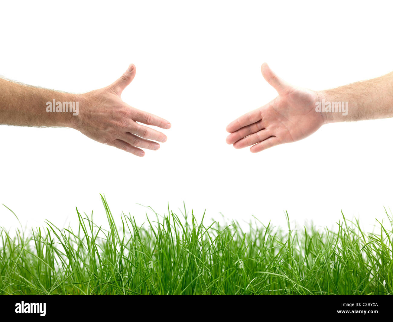 A hand shake over green grass isolated against a white background Stock ...