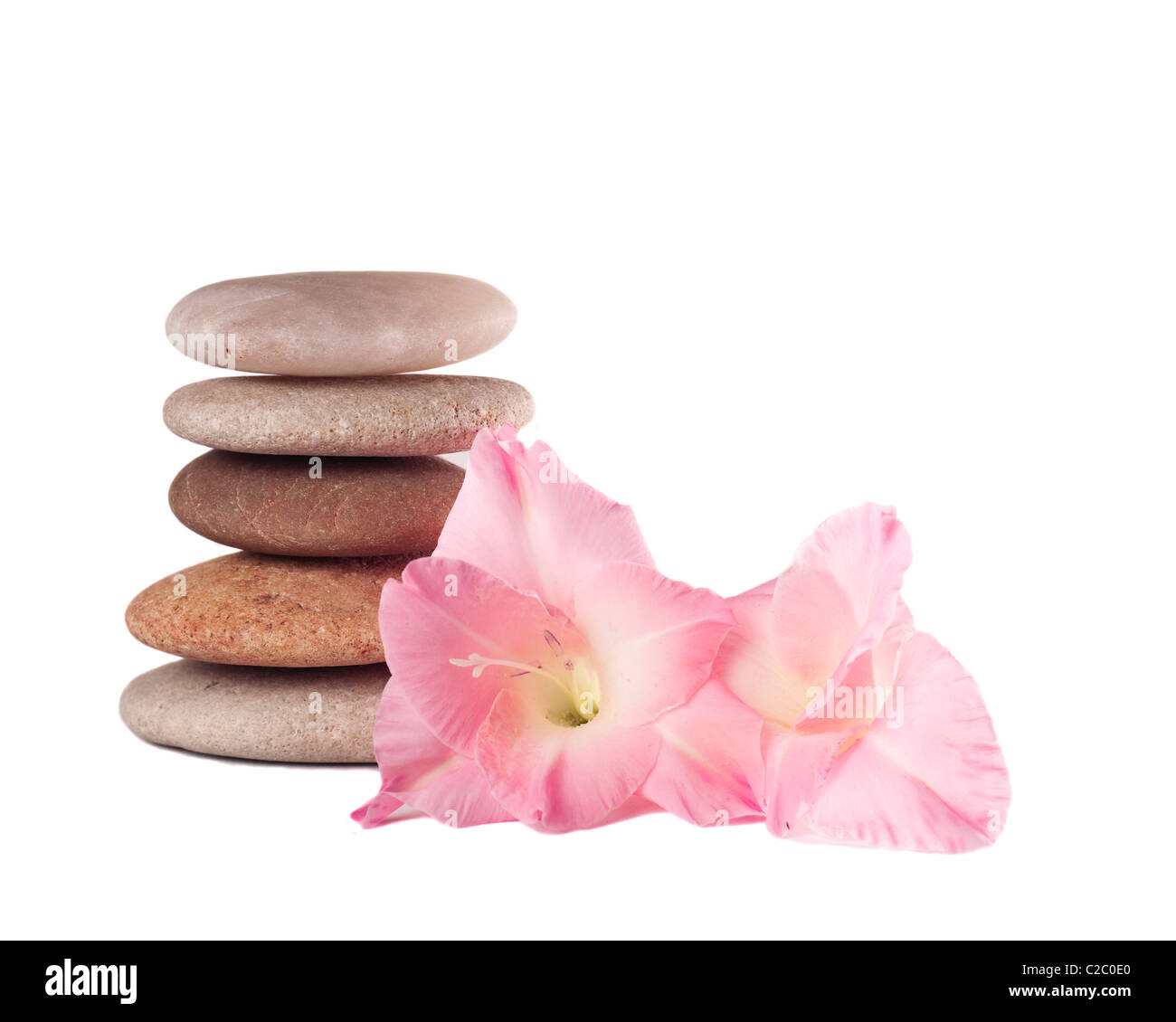 Salth hi-res stock photography and images - Alamy