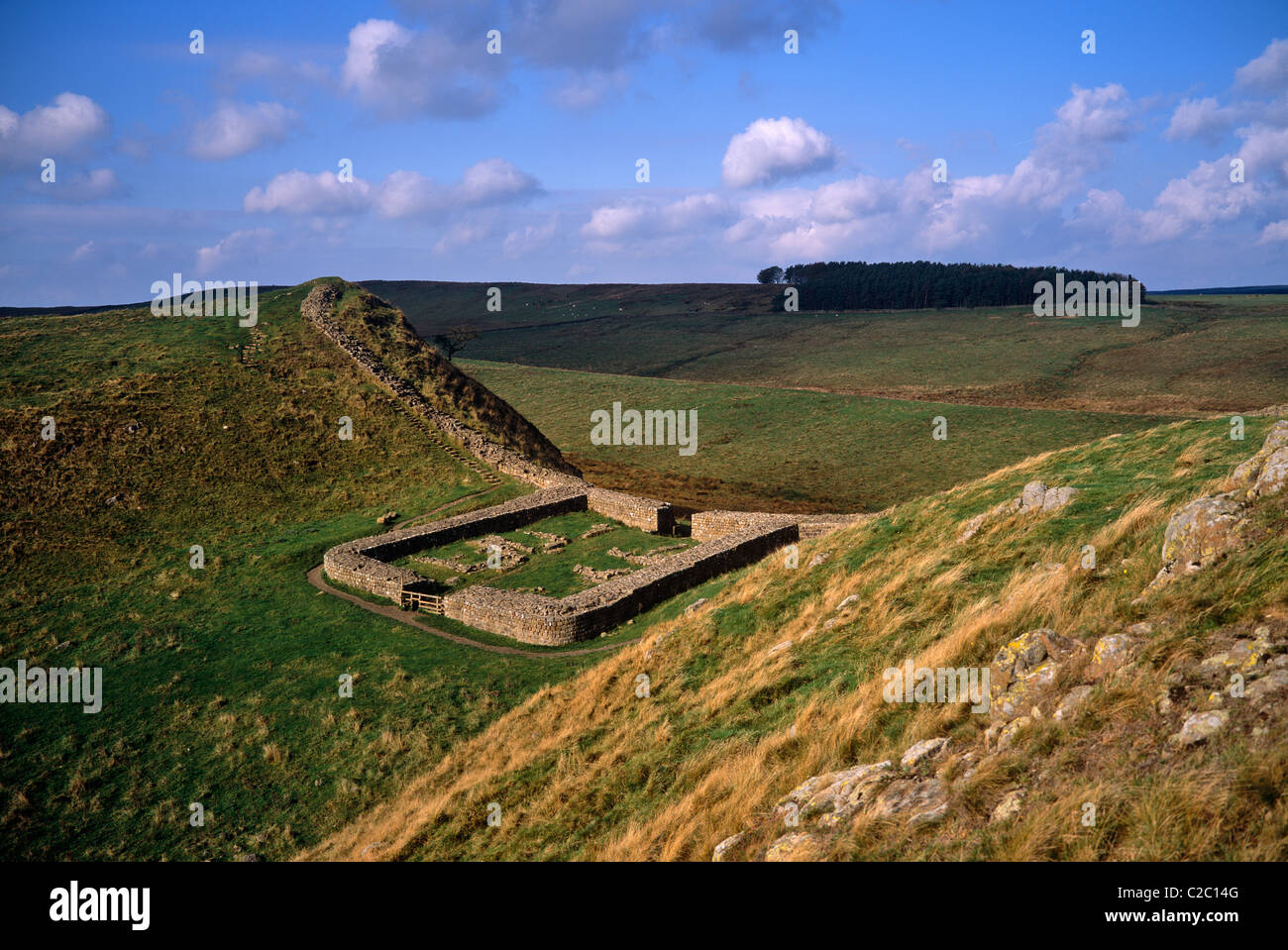Steel Rigg Northumberland England Stock Photo - Alamy