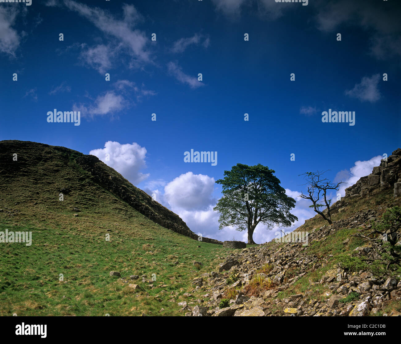 Steel Rigg Northumberland England Stock Photo - Alamy