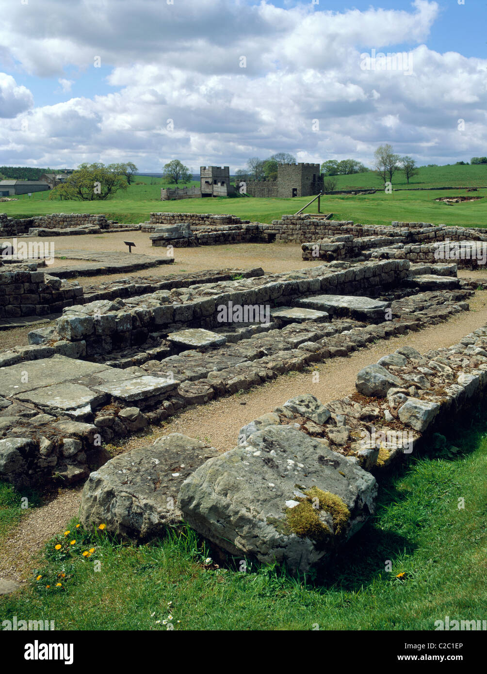 Vindolanda Northumberland England Stock Photo - Alamy