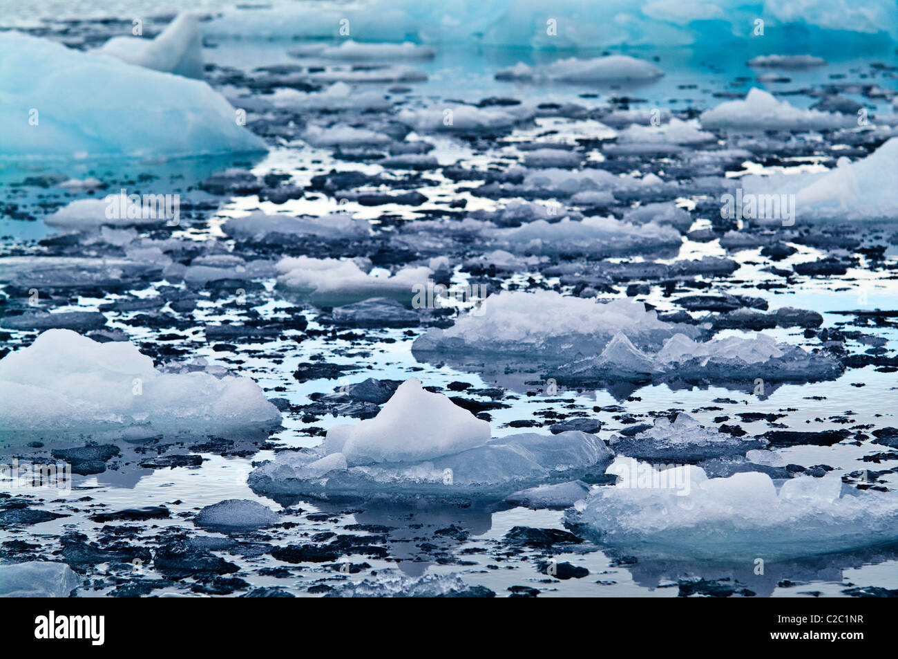 Crushed ice and fractured icebergs on the surface of a calm sea Stock ...