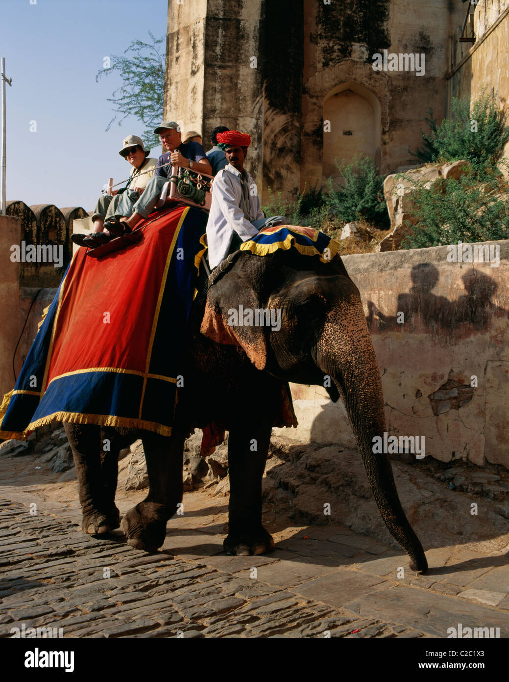 Jaipur Rajasthan India elephant ride Stock Photo - Alamy