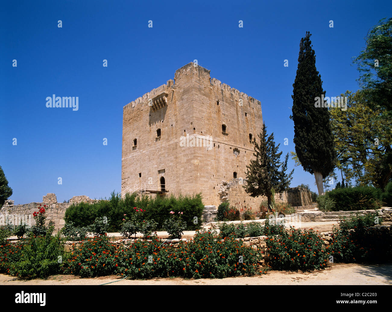 Templar cyprus hi-res stock photography and images - Alamy