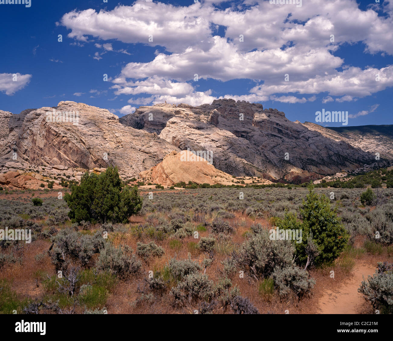 Dinosaur national park hi-res stock photography and images - Alamy