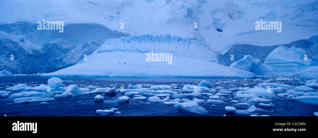 An iceberg trapped in the fracture zone of massive glacial ice cliffs ...
