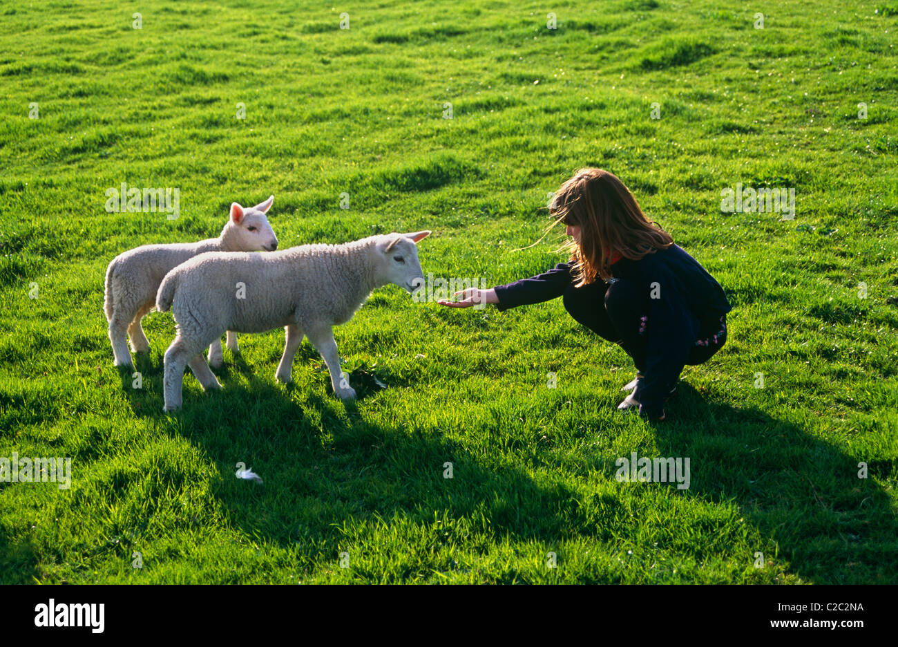 Kyle Rhea Isle Of Skye Scotland Stock Photo - Alamy