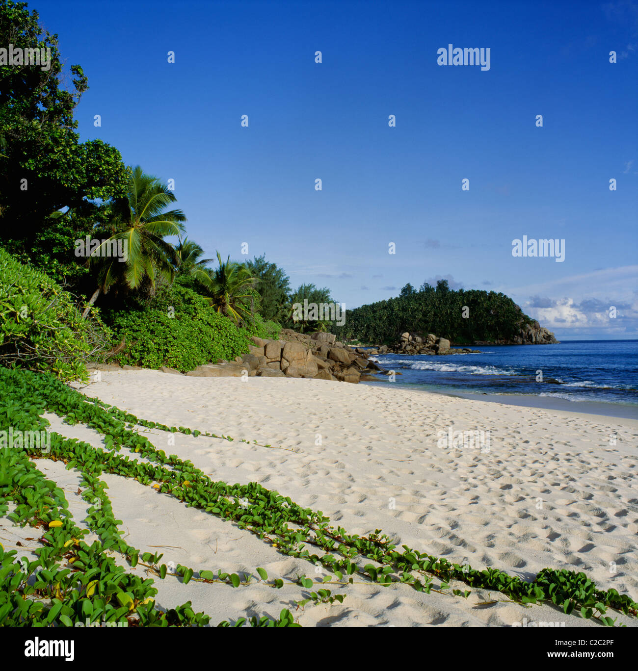 Mahe Seychelles Stock Photo - Alamy