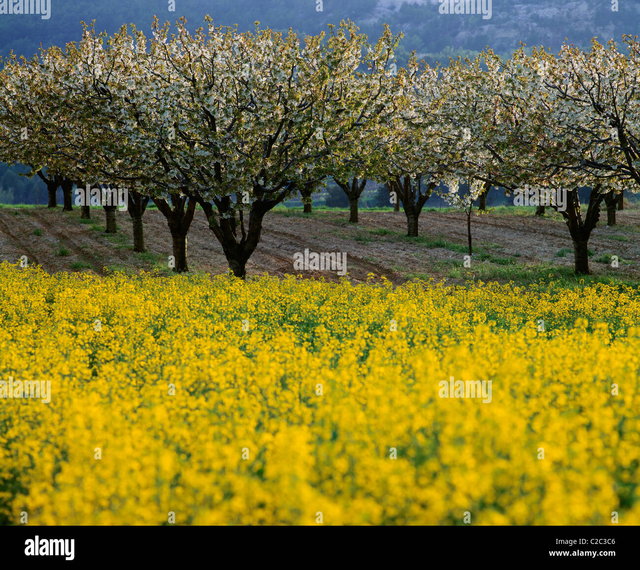 Apt Provence France Stock Photo - Alamy
