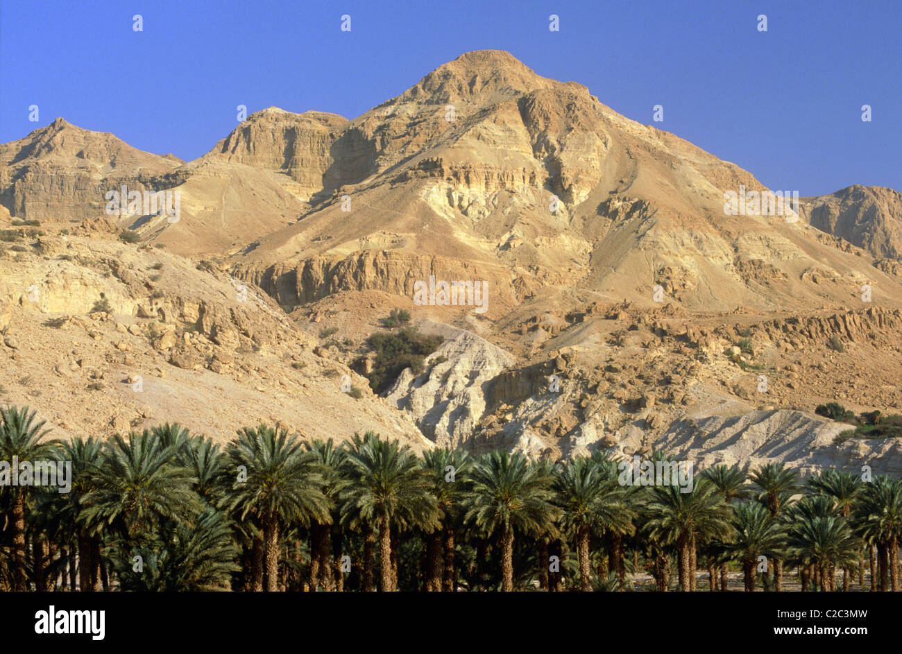 Ein Gedi Dead Sea Israel Stock Photo - Alamy