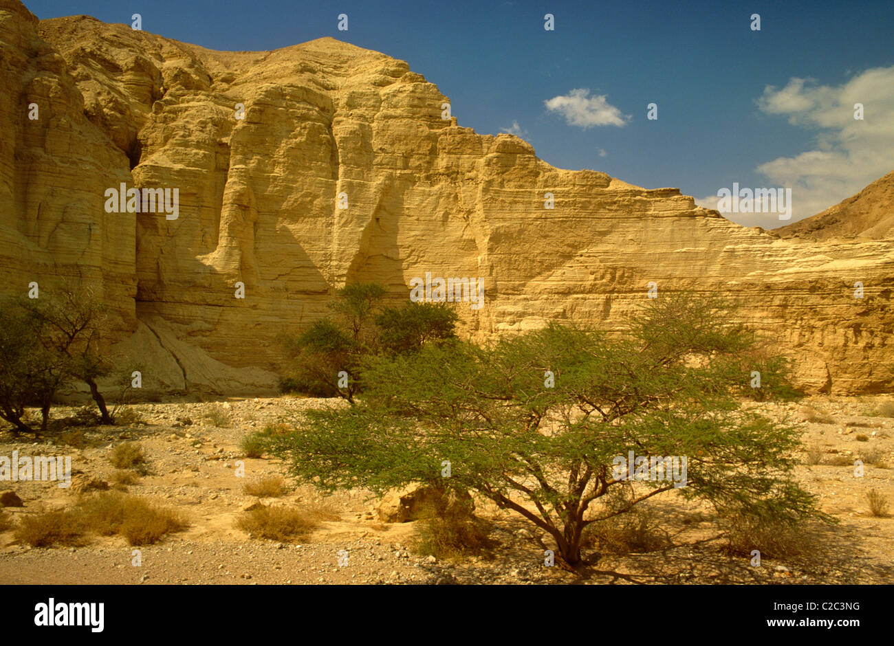 Zohar Wadi Dead Sea Israel Stock Photo - Alamy