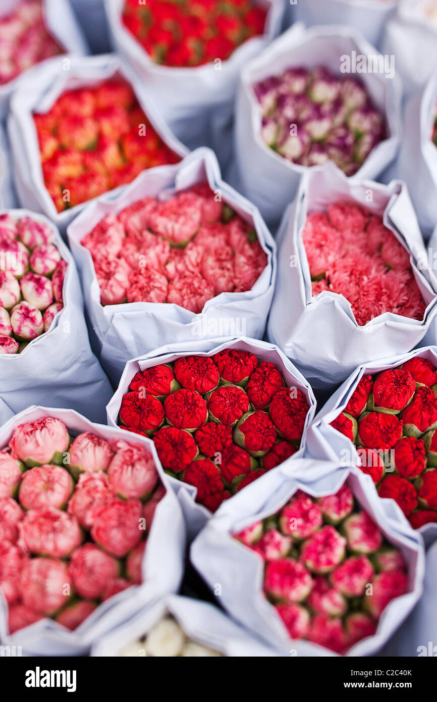 Carnation bunches hi-res stock photography and images - Alamy