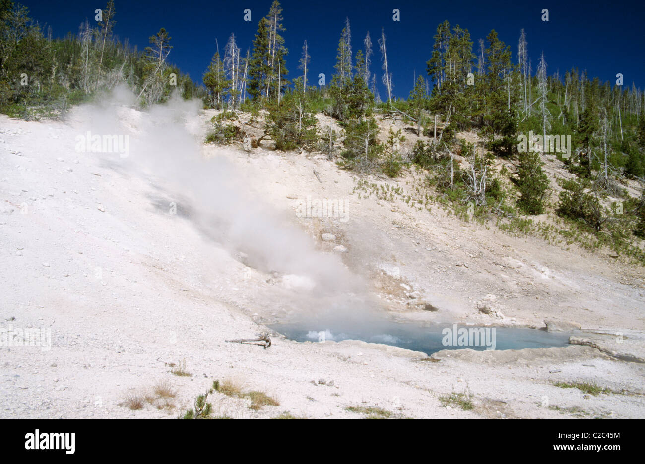 Beryl spring geography hi-res stock photography and images - Alamy