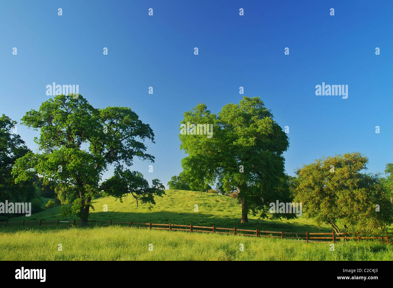 rural springtime landscape Stock Photo - Alamy