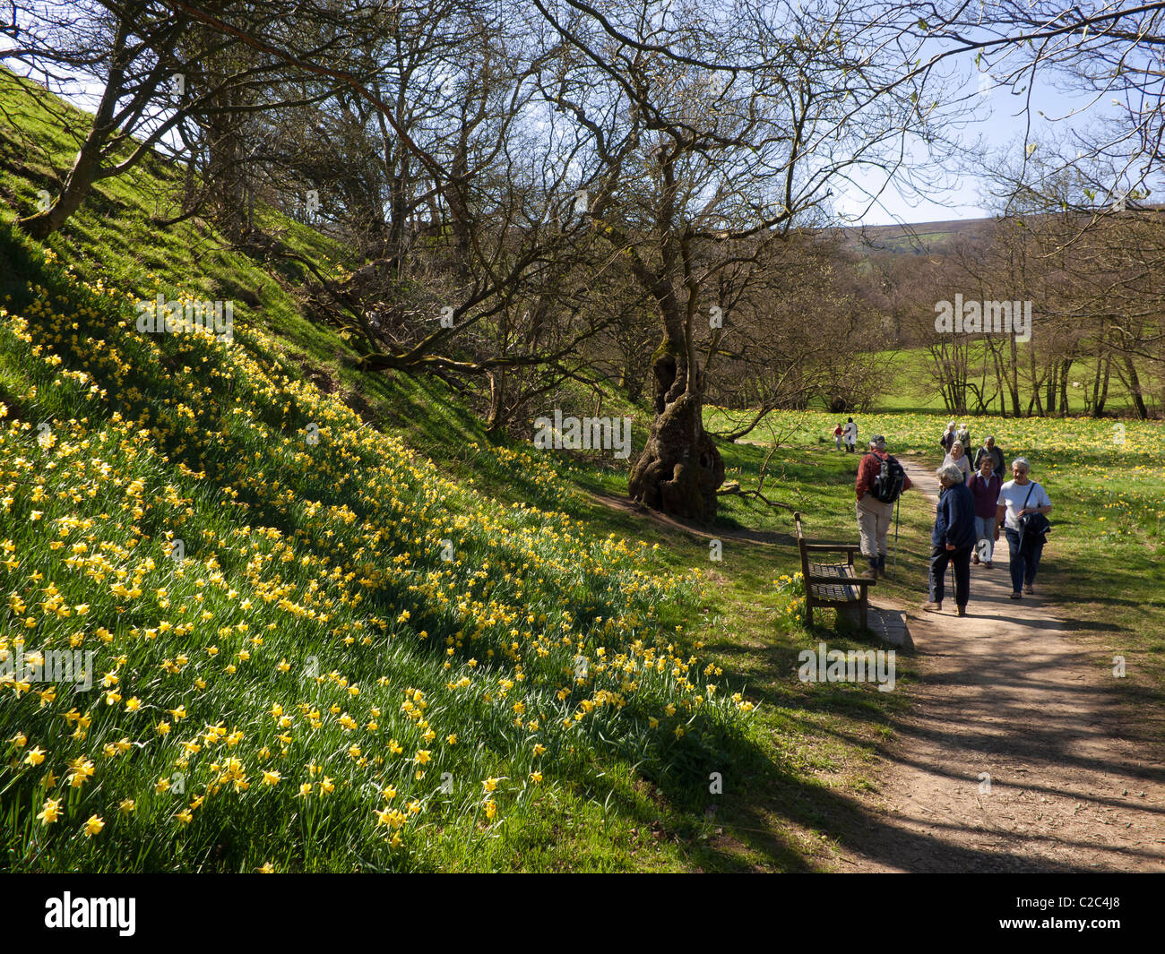 A group of walkers on the Farndale walk in the North Yorkshire Moors ...
