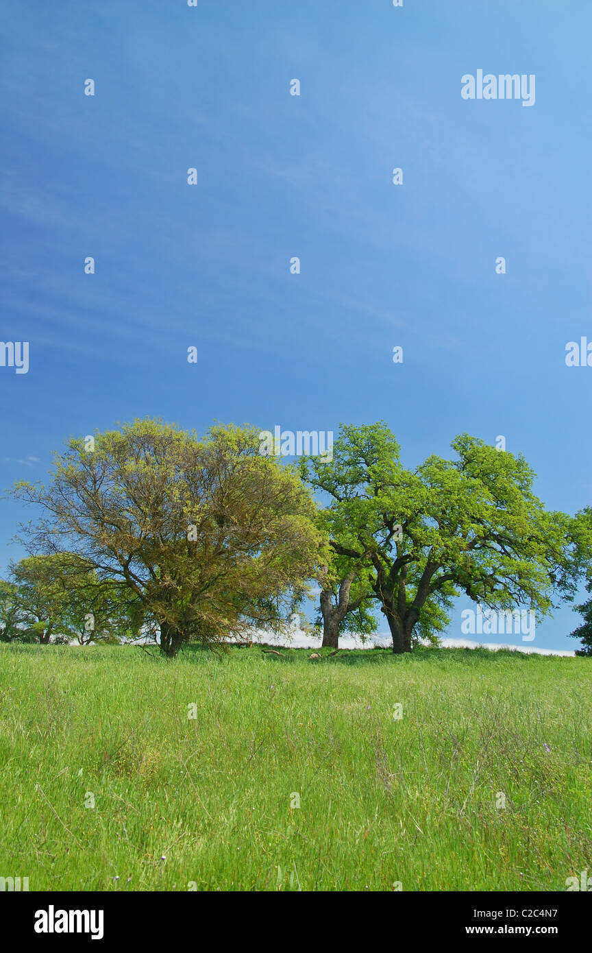 Landscape rural countryside hi-res stock photography and images - Alamy