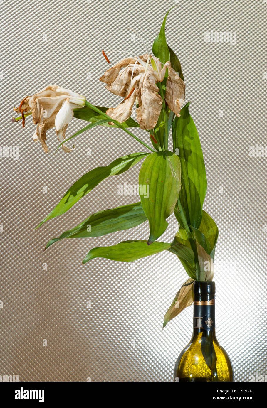 Dying lilies hi-res stock photography and images - Alamy