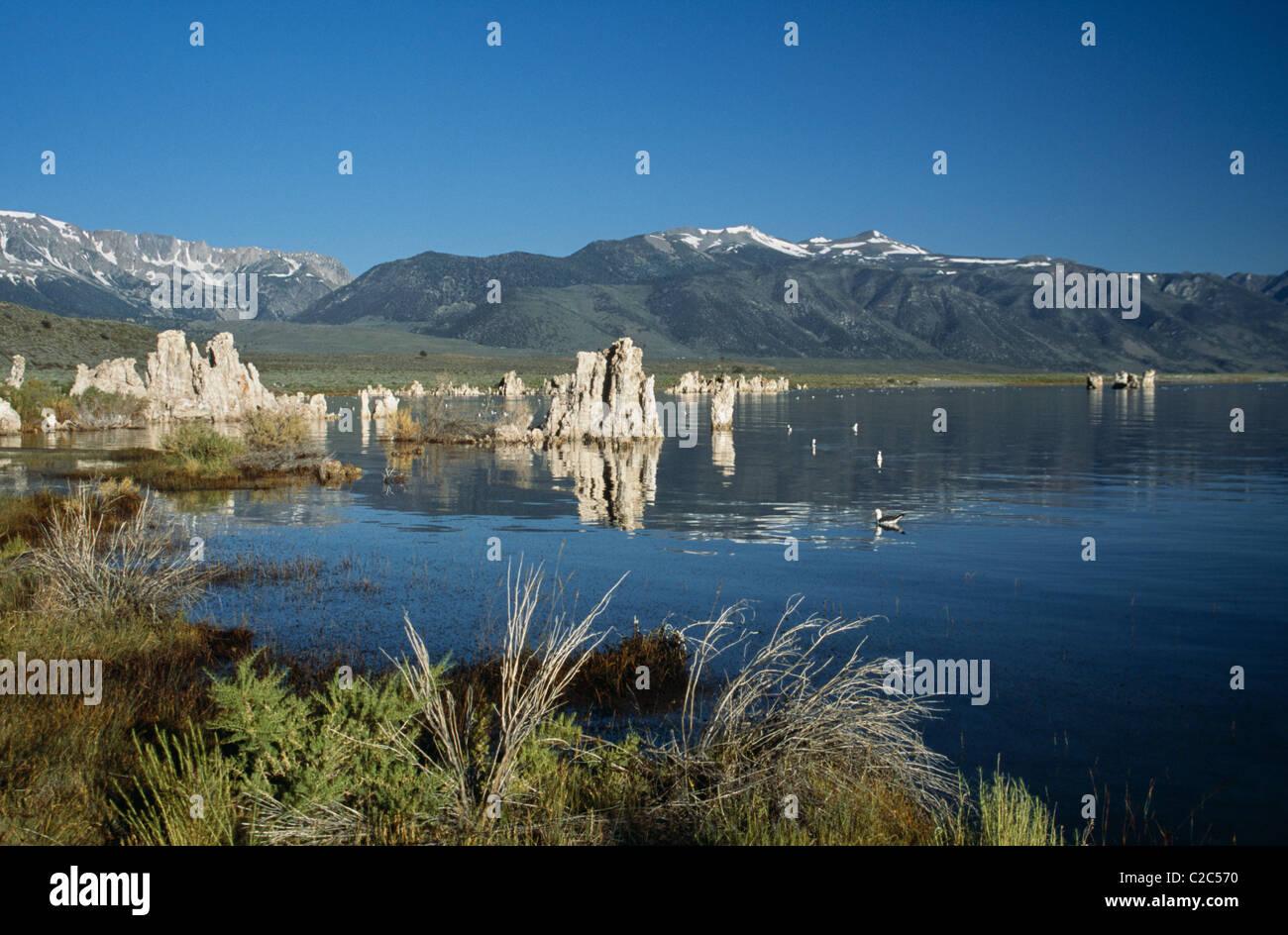 Mono Lake California USA Stock Photo - Alamy