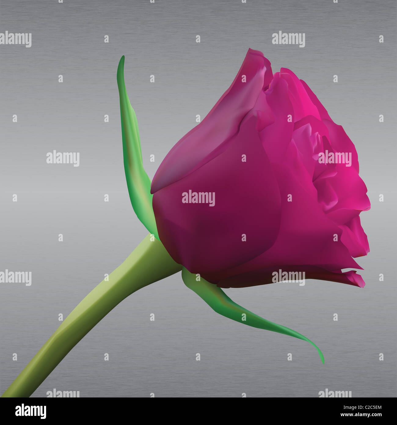 pink realistic style rose on metallic background Stock Photo - Alamy