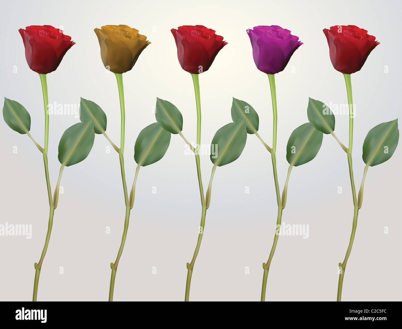 Long stem yellow roses hi-res stock photography and images - Alamy