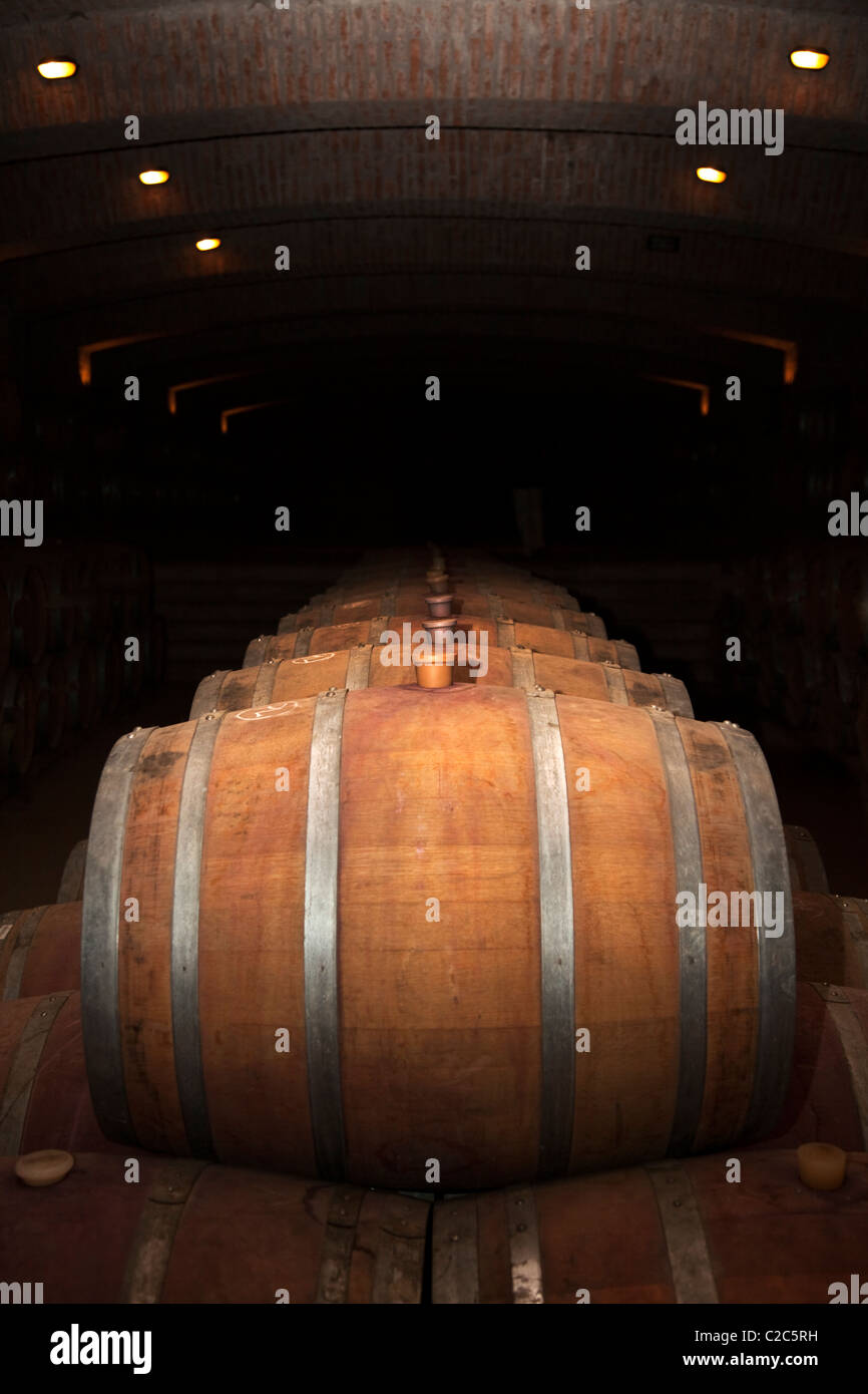Wine cellar interior with wooden barrels hi-res stock photography and ...