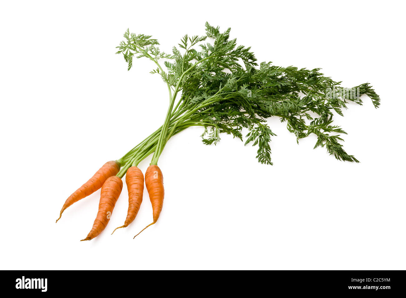 Fresh raw carrot on white background Stock Photo - Alamy