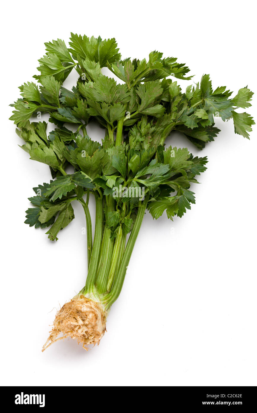 Celery hi-res stock photography and images - Alamy