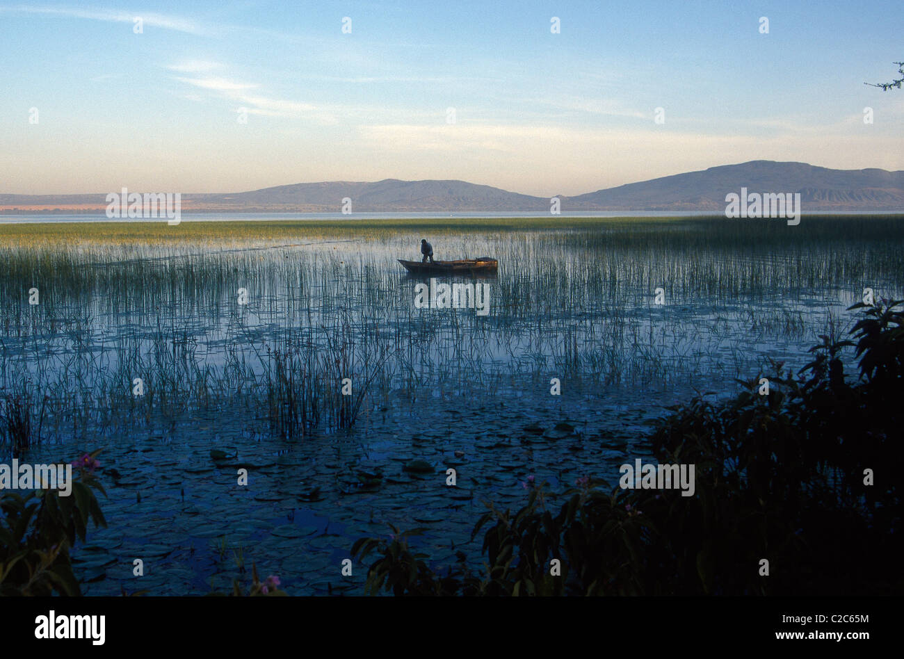 Awassa Ethiopia Stock Photo - Alamy