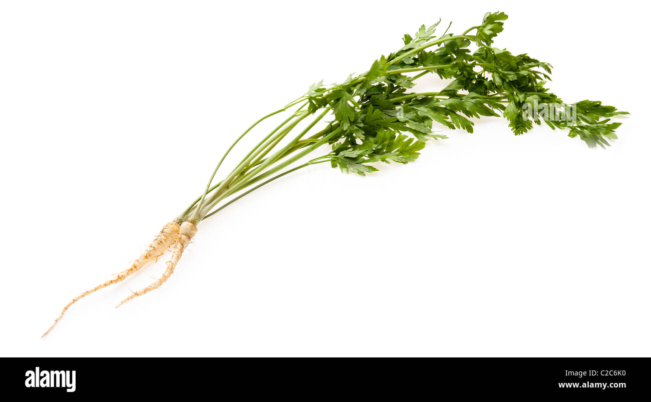Fresh parsley with root on white background Stock Photo - Alamy