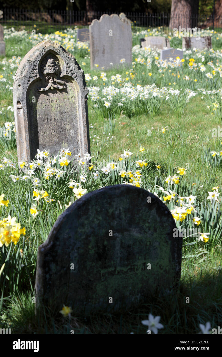 Picturesque springtime view of the catholic cemetery at St Mary`s ...