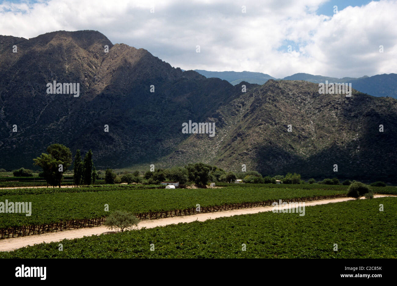Cafayate Salta Argentina Stock Photo - Alamy