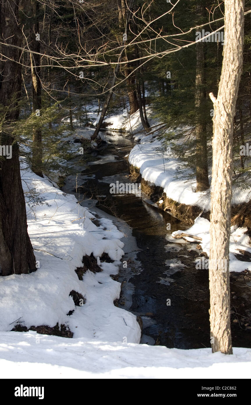 Winter scene of stream with trees and snow Stock Photo - Alamy