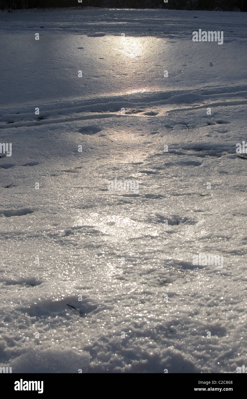 Stark sun hi-res stock photography and images - Alamy