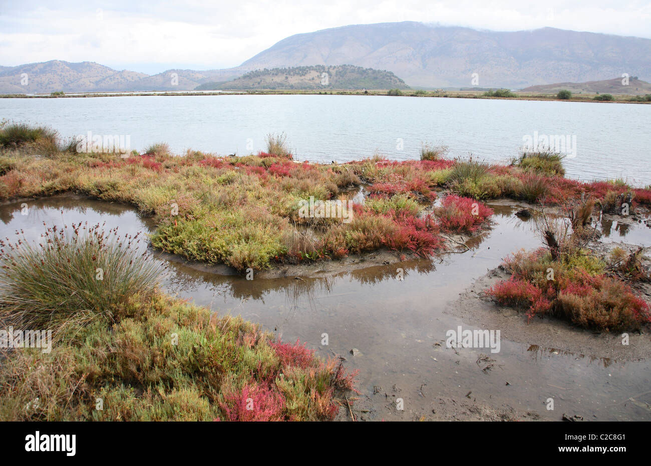 Lake Butrint Albania Stock Photo - Alamy